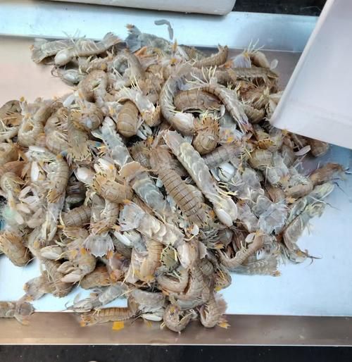 虾爬子怎么蒸_蒸多久才熟-第2张图片-山城妙识