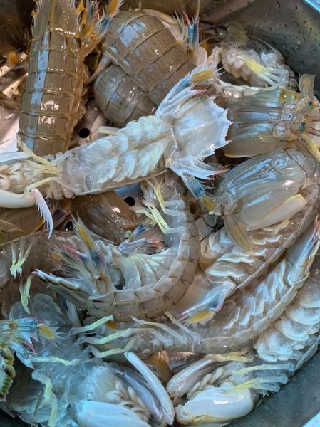 虾爬子怎么蒸_蒸多久才熟-第1张图片-山城妙识