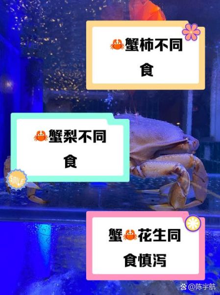 螃蟹不能和什么一起吃_螃蟹与哪些食物相克-第3张图片-山城妙识