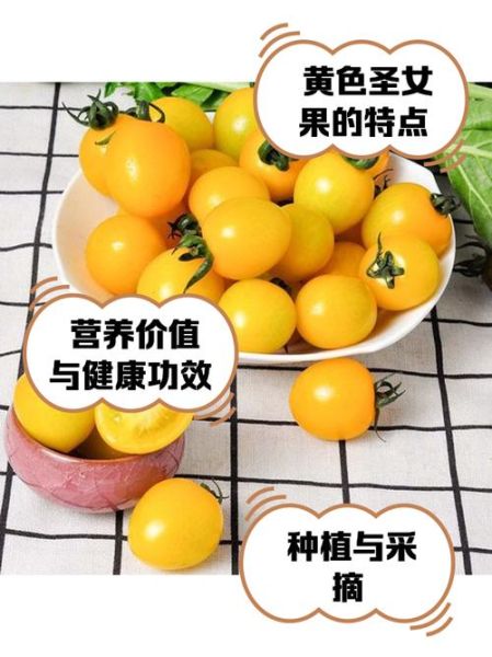 圣女果的功效与作用_圣女果可以美白吗-第1张图片-山城妙识