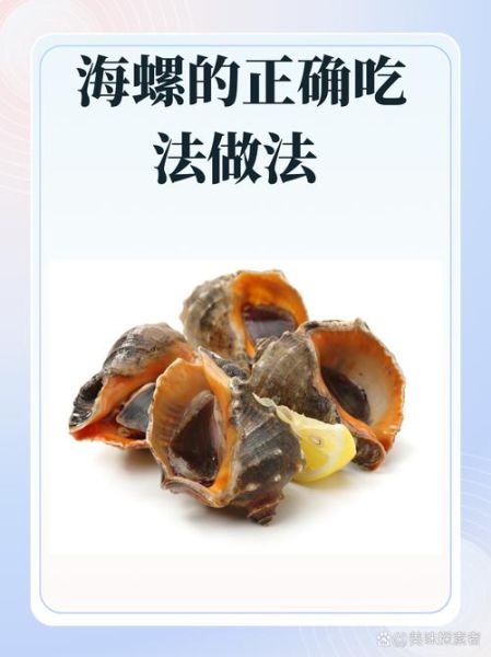 海螺怎么处理干净_海螺怎么吃才安全-第1张图片-山城妙识
