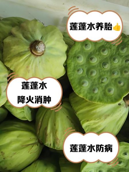 莲蓬水的功效与副作用_孕妇能喝吗-第1张图片-山城妙识