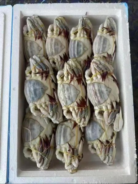 梭子蟹多少钱一斤_现在市场价-第3张图片-山城妙识