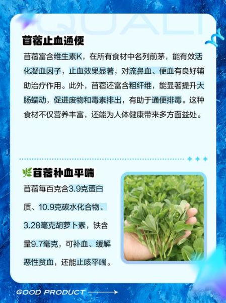 吃苜蓿的禁忌_什么人不能吃苜蓿-第3张图片-山城妙识