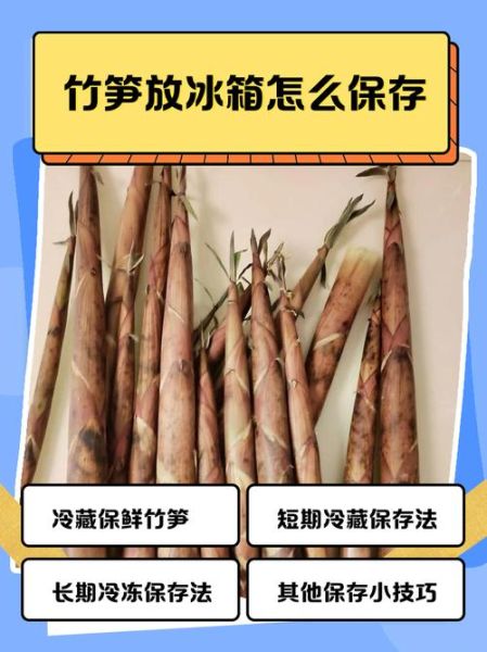 鲜竹笋怎么保存_鲜竹笋可以放冰箱吗-第2张图片-山城妙识
