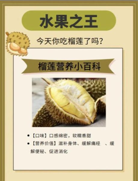 吃榴莲的好处与坏处有哪些_榴莲营养价值高吗-第2张图片-山城妙识