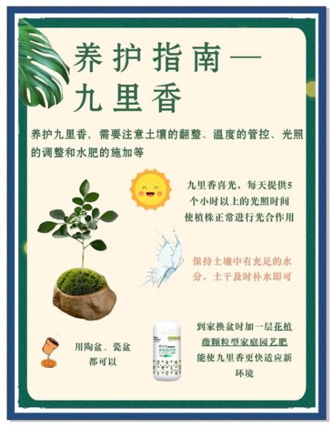 九里香怎么养_九里香养殖注意事项-第1张图片-山城妙识