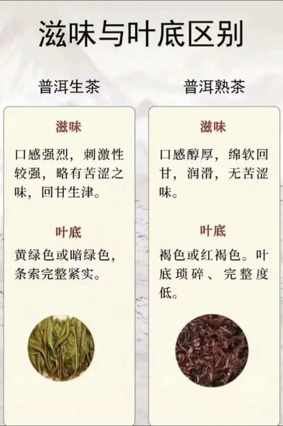 普洱茶属于什么茶_普洱茶的功效如何-第1张图片-山城妙识 普洱茶属于什么茶_普洱茶的功效如何-第1张图片-山城妙识