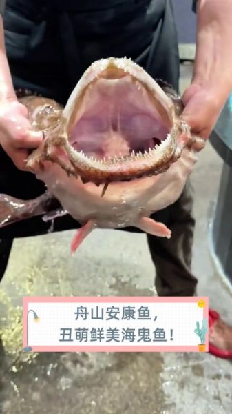 安康鱼图片_安康鱼为什么这么丑-第1张图片-山城妙识 安康鱼图片_安康鱼为什么这么丑-第1张图片-山城妙识