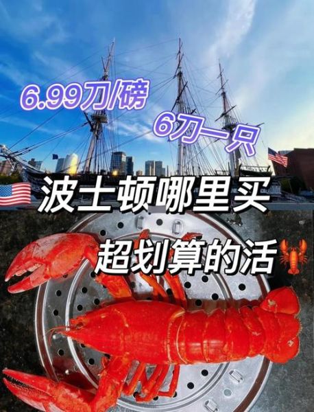 波士顿龙虾多少钱一斤_波士顿龙虾价格受哪些因素影响-第1张图片-山城妙识 波士顿龙虾多少钱一斤_波士顿龙虾价格受哪些因素影响-第1张图片-山城妙识