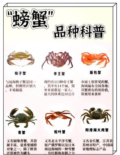河蟹和海蟹哪个好吃_口感营养大比拼-第1张图片-山城妙识 河蟹和海蟹哪个好吃_口感营养大比拼-第1张图片-山城妙识