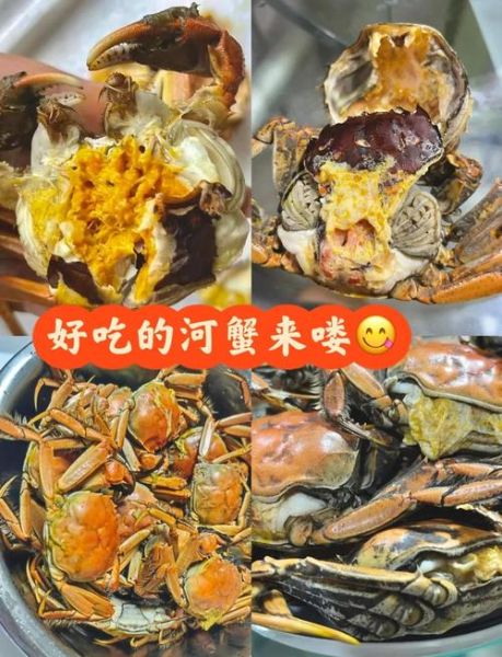 河蟹和海蟹哪个好吃_口感营养大比拼-第2张图片-山城妙识 河蟹和海蟹哪个好吃_口感营养大比拼-第2张图片-山城妙识