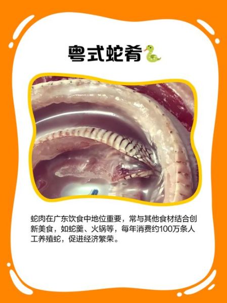 蛇肉的功效与作用_蛇肉怎么吃最补-第3张图片-山城妙识