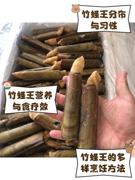 竹蛏子的营养价值_竹蛏子怎么吃最营养-第2张图片-山城妙识