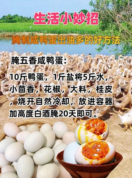 咸鸭蛋怎么腌制才出油_咸鸭蛋出油的方法-第1张图片-山城妙识