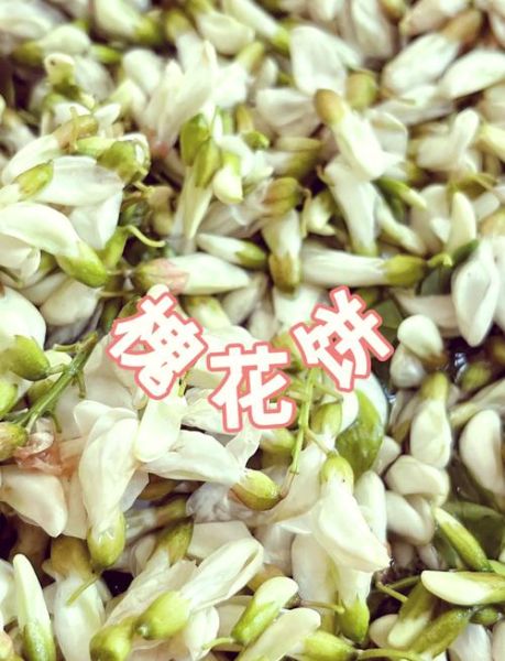 槐花饼最简单的做法_槐花饼怎么做才好吃-第1张图片-山城妙识