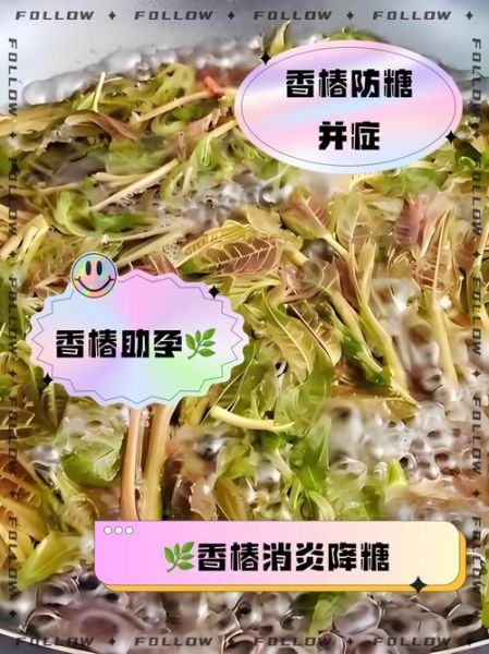 老香椿叶怎么保存_老香椿叶的做法大全-第1张图片-山城妙识 老香椿叶怎么保存_老香椿叶的做法大全-第1张图片-山城妙识