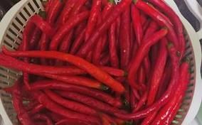 自制无油辣椒酱怎么做_无油辣椒酱能保存多久-第3张图片-山城妙识 自制无油辣椒酱怎么做_无油辣椒酱能保存多久-第3张图片-山城妙识