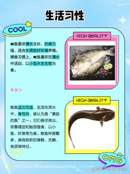 鲇鱼图片_如何分辨鲇鱼与鲶鱼-第1张图片-山城妙识 鲇鱼图片_如何分辨鲇鱼与鲶鱼-第1张图片-山城妙识