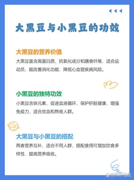 大黑豆和小黑豆的区别_哪个营养价值更高-第3张图片-山城妙识 大黑豆和小黑豆的区别_哪个营养价值更高-第3张图片-山城妙识