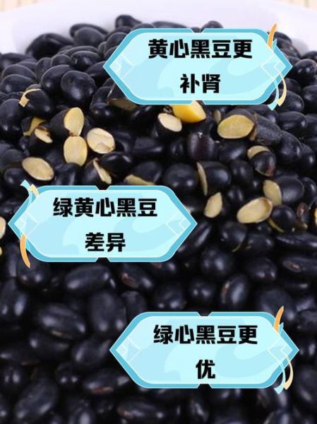 大黑豆和小黑豆的区别_哪个营养价值更高-第1张图片-山城妙识 大黑豆和小黑豆的区别_哪个营养价值更高-第1张图片-山城妙识