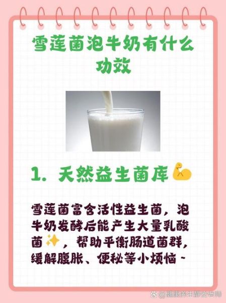 天山雪莲菌自制酸奶危害_如何安全避免风险-第2张图片-山城妙识 天山雪莲菌自制酸奶危害_如何安全避免风险-第2张图片-山城妙识