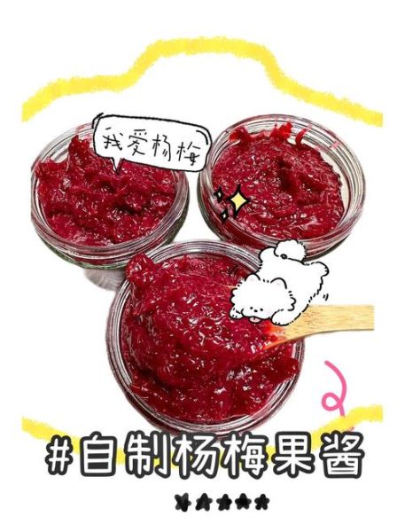 杨梅酱的做法_杨梅酱的功效与作用-第2张图片-山城妙识