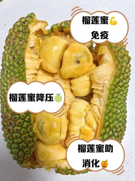 榴莲蜜好吃吗_榴莲蜜口感怎么样-第1张图片-山城妙识
