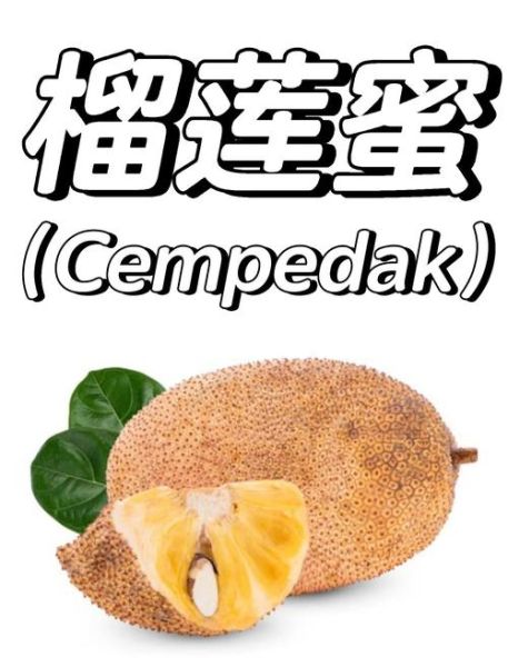 榴莲蜜好吃吗_榴莲蜜口感怎么样-第3张图片-山城妙识