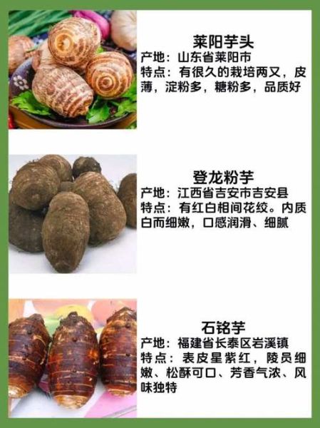 芋头品种有哪些_芋头品种图片说明-第1张图片-山城妙识