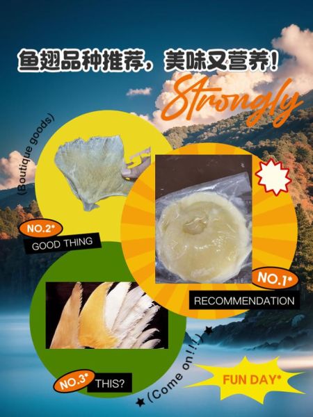 鱼翅图片品种大全_如何辨别真假鱼翅-第2张图片-山城妙识