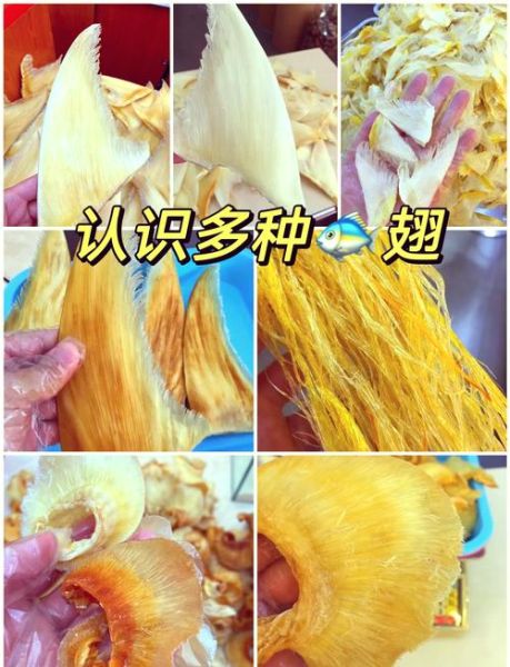鱼翅图片品种大全_如何辨别真假鱼翅-第1张图片-山城妙识