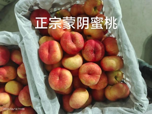 蟠桃产地哪里的最好_正宗蟠桃哪里买-第2张图片-山城妙识
