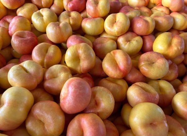 蟠桃产地哪里的最好_正宗蟠桃哪里买-第3张图片-山城妙识