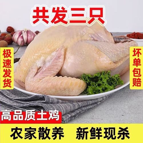 三黄鸡为什么那么便宜_三黄鸡和土鸡价格差多少-第3张图片-山城妙识