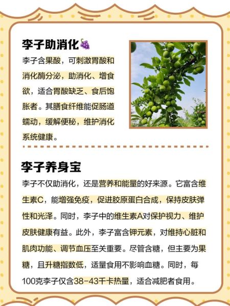 李子怎么挑选_李子功效与作用-第3张图片-山城妙识