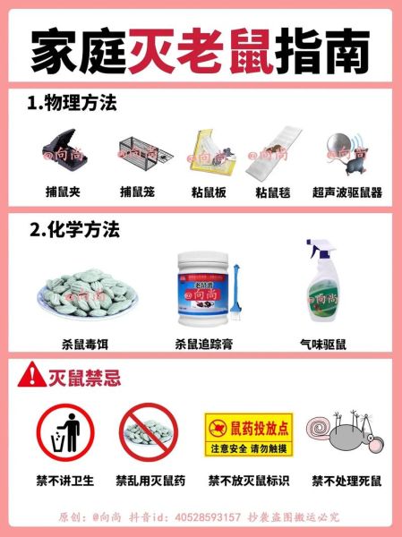 老鼠怎么彻底消灭_家里老鼠太多怎么办-第2张图片-山城妙识