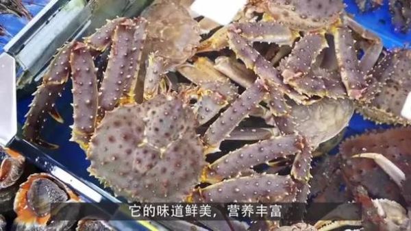 世界上最贵的螃蟹多少钱一只_顶级螃蟹价格排行榜-第2张图片-山城妙识