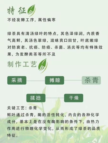 喝绿茶能减肥吗_绿茶减肥原理-第1张图片-山城妙识