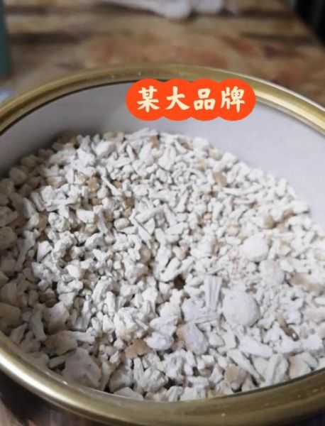 野生葛根长什么样_如何辨别真假-第1张图片-山城妙识