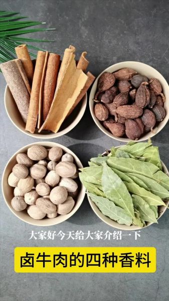 卤牛肉的调料有哪些_家常卤牛肉必备香料清单-第2张图片-山城妙识