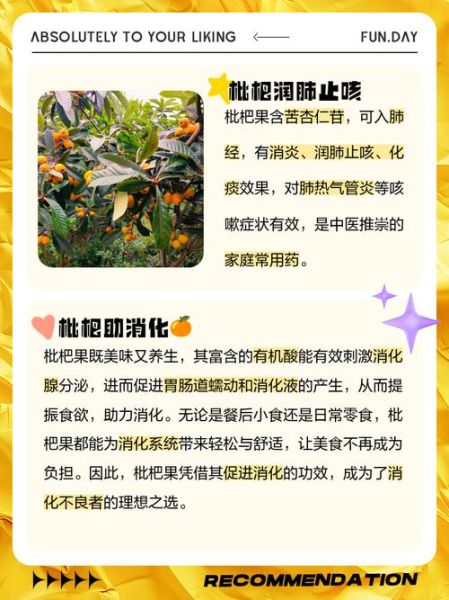 枇杷果的功效与作用_枇杷果怎么吃止咳化痰-第3张图片-山城妙识 枇杷果的功效与作用_枇杷果怎么吃止咳化痰-第3张图片-山城妙识