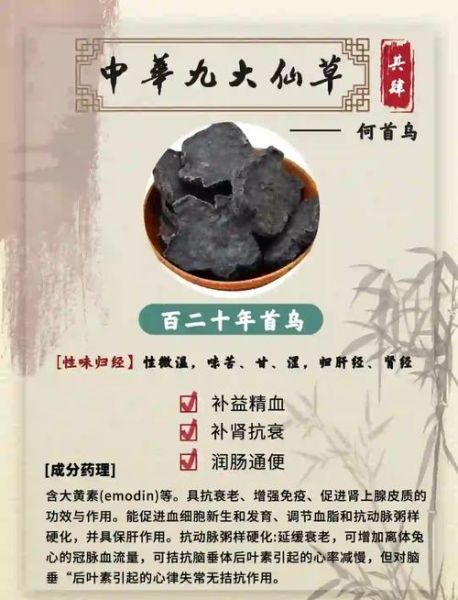 制首乌的功效与作用及禁忌_哪些人不能吃-第1张图片-山城妙识 制首乌的功效与作用及禁忌_哪些人不能吃-第1张图片-山城妙识