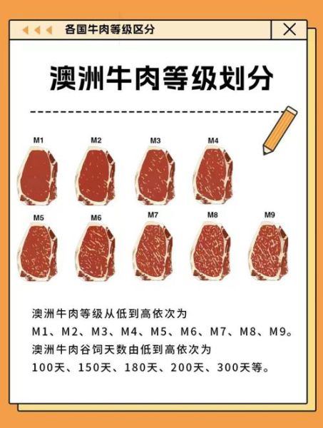 澳洲牛排怎么选_澳洲牛排哪个部位最好吃-第3张图片-山城妙识 澳洲牛排怎么选_澳洲牛排哪个部位最好吃-第3张图片-山城妙识