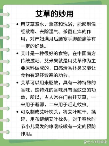 艾草哪些人不能吃_艾草禁忌人群-第1张图片-山城妙识