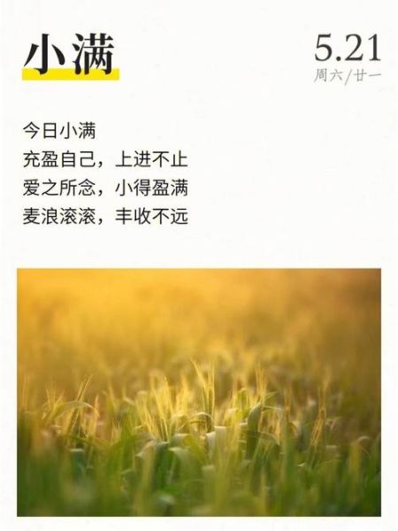 小满经典诗句有哪些_如何理解小满诗词意境-第2张图片-山城妙识 小满经典诗句有哪些_如何理解小满诗词意境-第2张图片-山城妙识