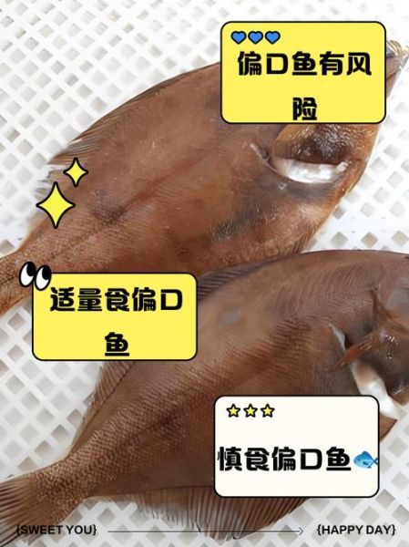 偏口鱼和比目鱼的区别_哪个更常见-第2张图片-山城妙识