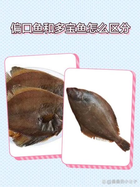 偏口鱼和比目鱼的区别_哪个更常见-第1张图片-山城妙识