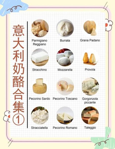 十大经典奶酪有哪些_如何挑选与保存-第2张图片-山城妙识