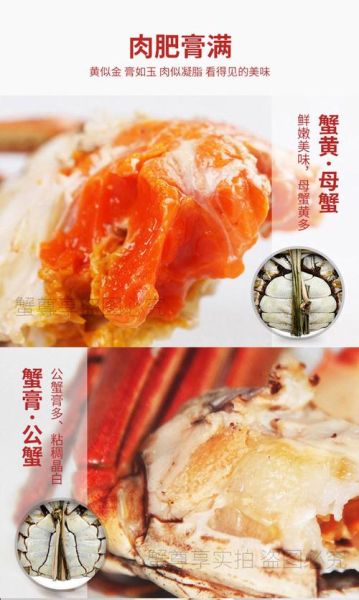 阳澄湖大闸蟹价格一只多少钱_正宗阳澄湖大闸蟹多少钱一只-第3张图片-山城妙识